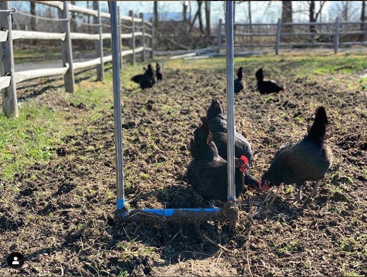 Shop the Treadlite Broadfork Lineup: Strongest and lightest broadforks ...