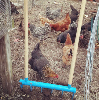 The Square Foot Gardener Broadfork | 24" wide | 6 tines – Treadlite ...